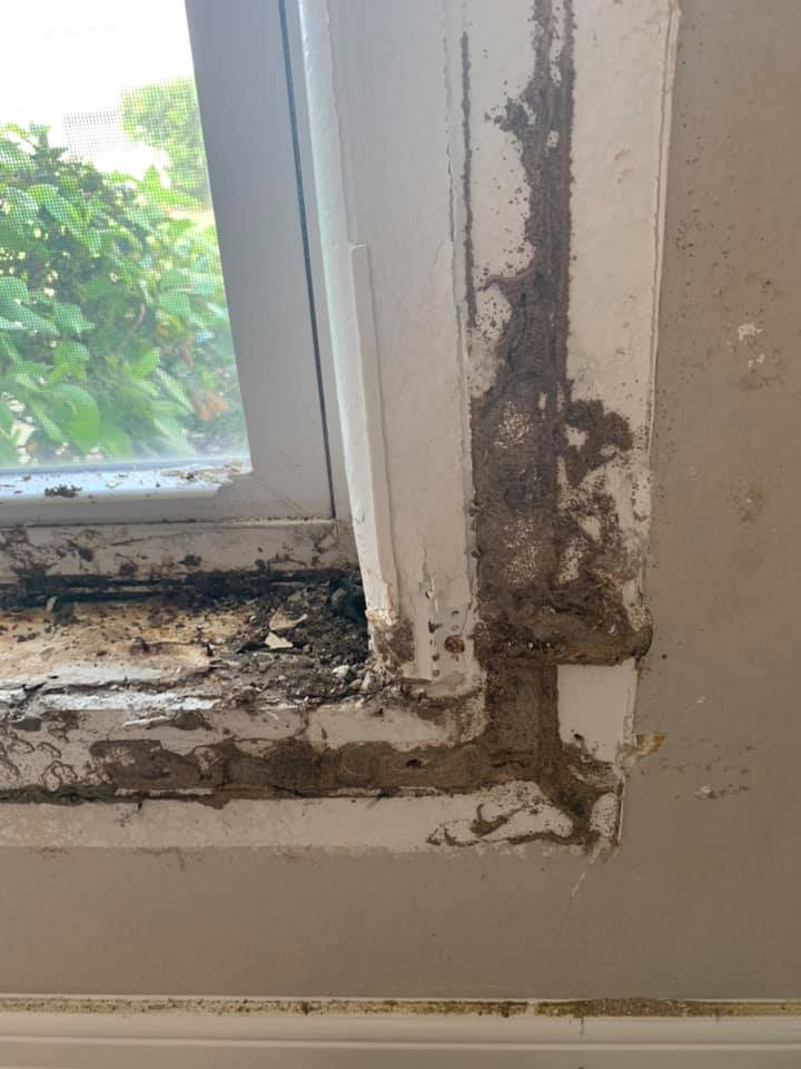 Branded Pest Defense